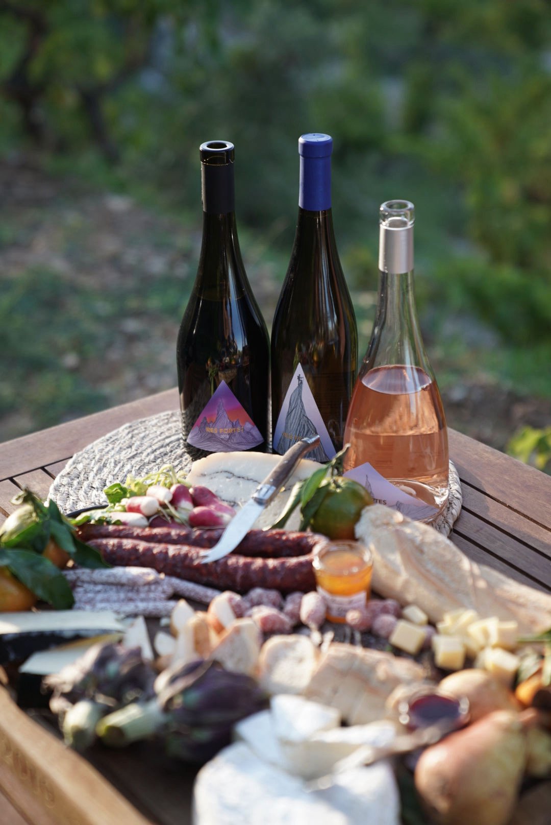 Res Fortes: Elevating Wine Appreciation With Roussillon's Finest Vinta